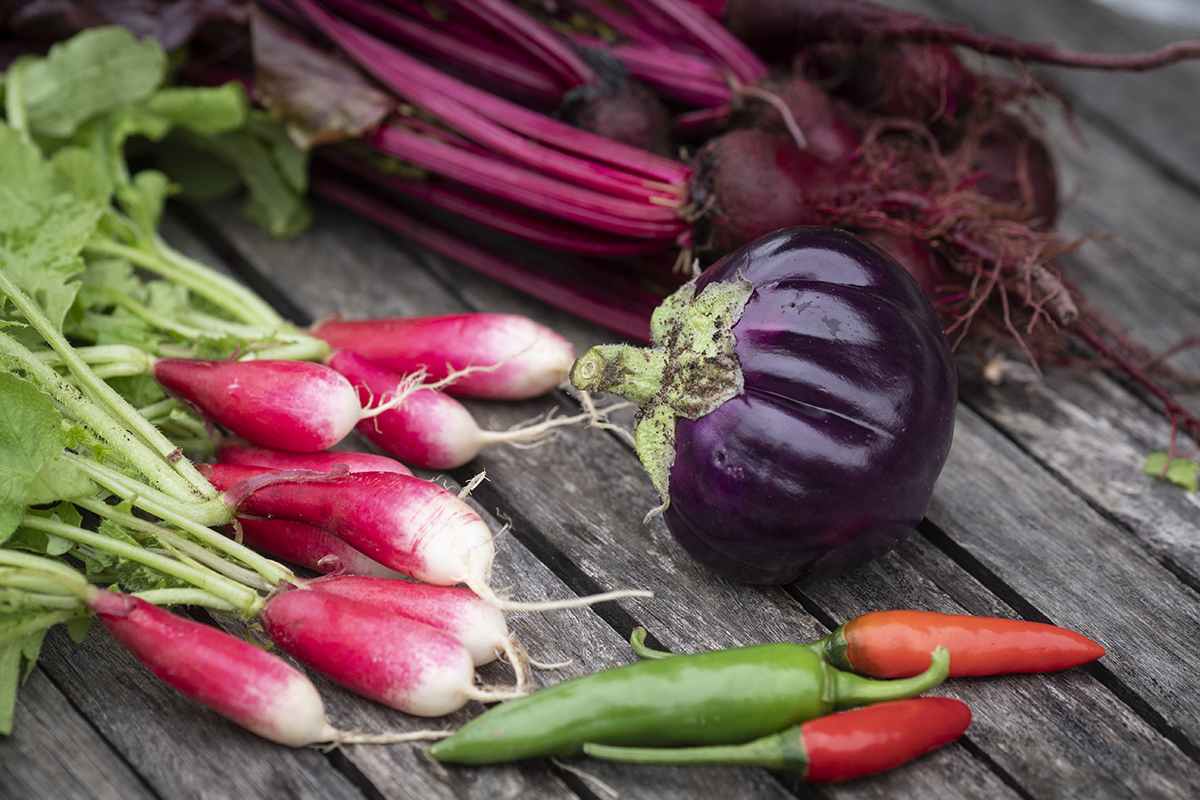 Local Urban Agriculture (and a tasty little roasted eggplant ...