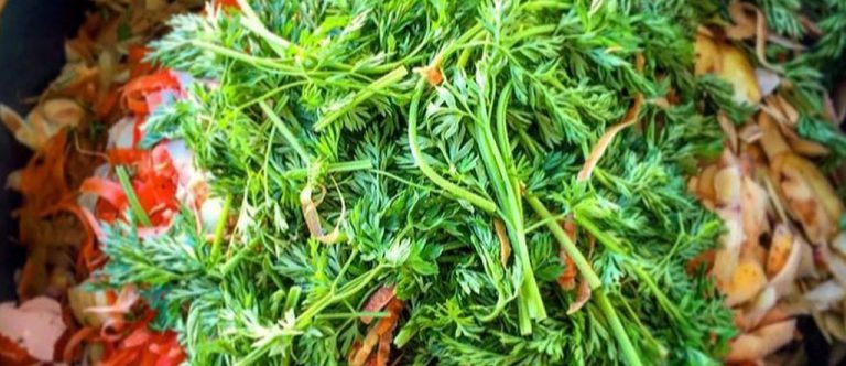 Feedback Organic Recovery: Growing Food’s Future