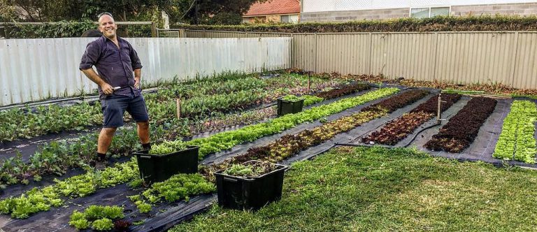 Feedback Organic Recovery: Growing Food’s Future