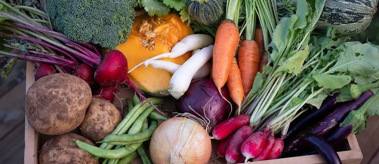 Feedback Organic Recovery: Growing Food’s Future